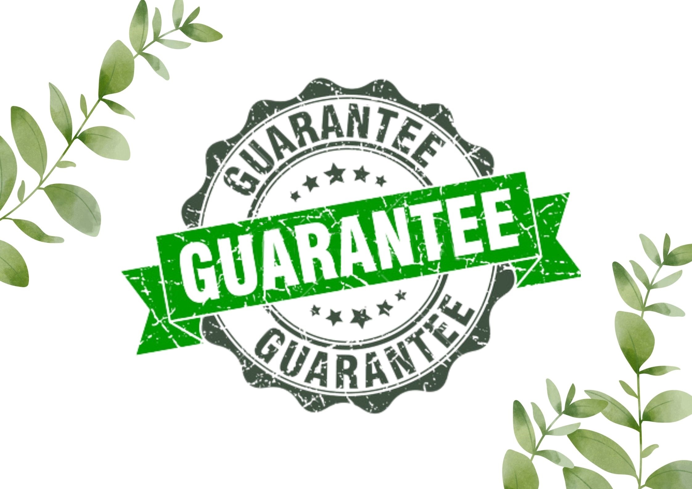What is the Dining Chair Guarantee? | bzmaka
